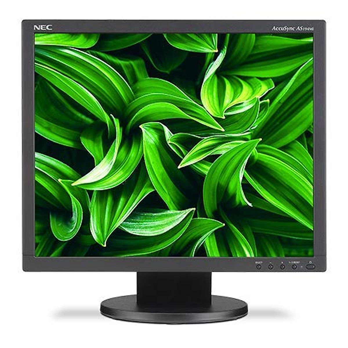 NEC AS194MI-BK 19" Value Desktop Monitor with LED Backlighting