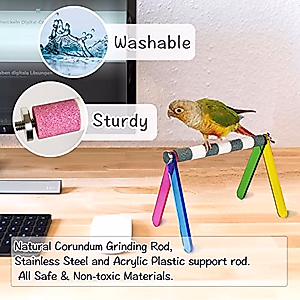 Parrot Play Stand Portable Bird Training Perch Rough-surfaced Corundum and Stainless Steel 8" (Red)