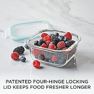 LOCK & LOCK Purely Better Glass Food Storage Container with Lid, 2.11-cup, Clear