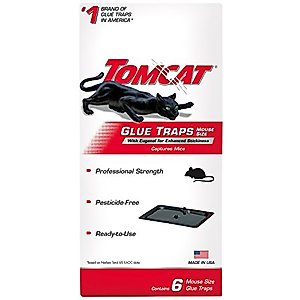 Tomcat Glue Traps Mouse Size with Eugenol for Enhanced Stickiness for Mice, Cockroaches, and Spiders, 6 Traps