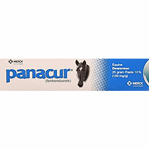(3 Pack) PANACUR Dewormer Horse Paste 10%, 100mg Each