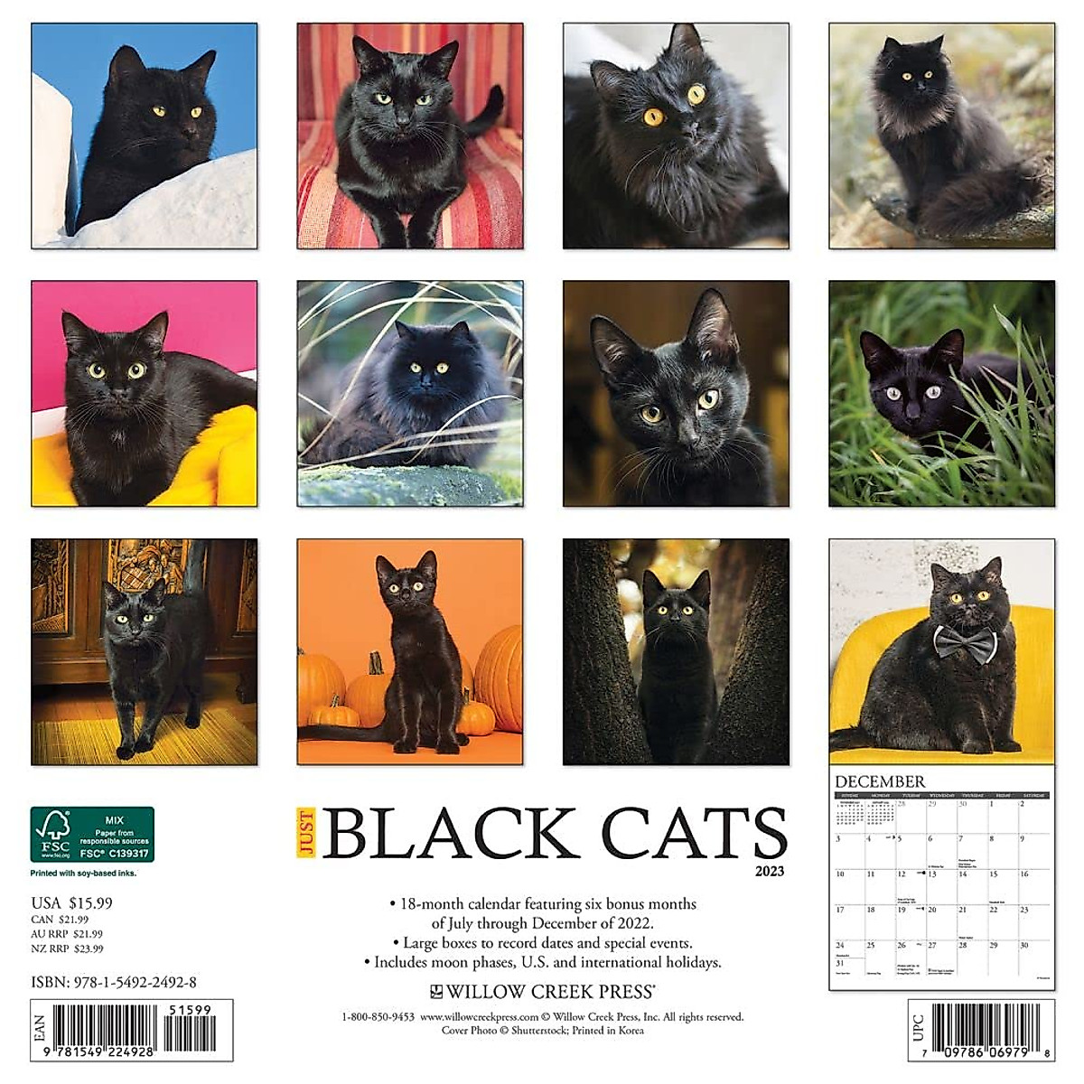 Just Black Cats 2023 Wall Calendar