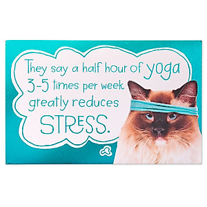 American Greetings Funny Birthday Card for Her (So Does Ice Cream)