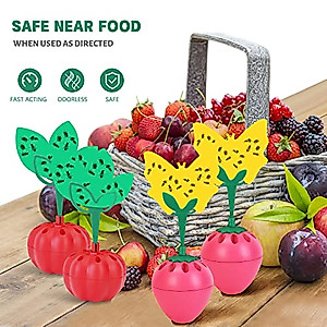 Fruit Fly Trap for Indoors, Safe Fly Catcher Gnat Trap Killer with Sticky Traps, Effective Gnat Trap with Bait, Non-Toxic and Odorless Fly Trap for Home,Kitchen