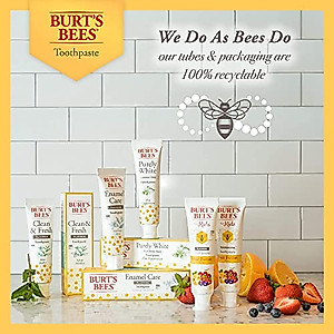 P&G-Burts Bees Toothpaste Purely White 4.7 Ounce Zen Peppermint (Pack of 2)