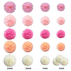 Tissue Paper Pompoms Paper Flower 22 Pcs Pink,Light Pink,Hot Pink,Ivory, Light Peach Paper Flower Ball for Birthday Bachelorette Wedding Baby Shower Bridal Shower Party Decoration