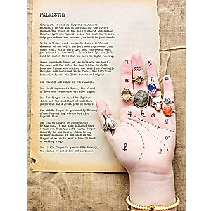 The Magpie and the Wardrobe: A Curiosity of Folklore, Magic and Spells