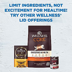 Wellness Simple Natural Grain Free Limited Ingredient Dry Dog Food, Salmon and Potato Recipe, 24-Pound Bag