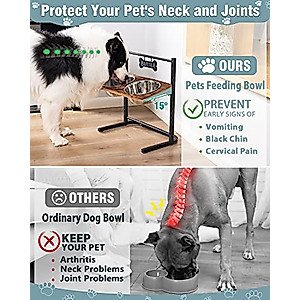 Realyoo Dog Elevated Bowls with Slow Feeder, 11 Heights 15° Tilted Stainless Steel Raised Dog Bowls Stand, Metal Food and Water Bowl for Large Medium Small Dogs and Cats