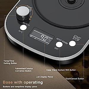 Gooseneck Electric Kettle, WiFi Smart Electric Kettle Temperature Control, Pour Over Kettle and Tea Kettle, TUYA App Control, 1200W Quick Heating, 100% Stainless Steel, 0.8L, Matte Black