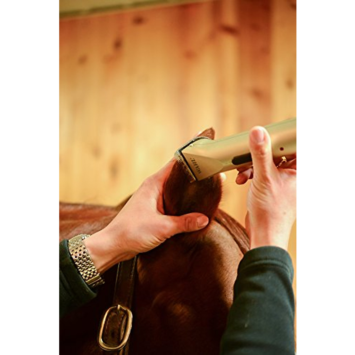 WAHL Professional Animal Arco Pet, Dog, Cat, and Horse Cordless Clipper Kit, Champagne (8786-452)