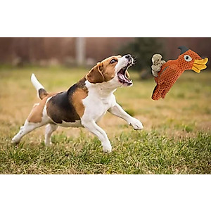 Hewnda 1Pack Plush Dog Toys, Squeaky Pet Toys, Stuffed Animal Dog Plush Toys, Chew Toys for Small and Medium Breeds (Orange)