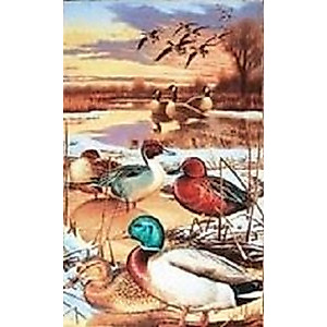 Duck Duck Goose 9116 482 from Wilmington by The Panel