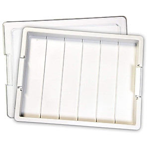 Bead Storage Solutions Elizabeth Ward Plastic Organizer Tray with Clear Snap Shut Lid for Sorting Craft Supplies, Fasteners, Crystals (2 Pack)