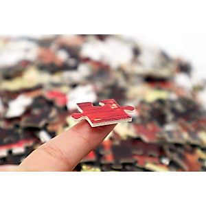 1000 Pieces 1.8MM Thickened Puzzle for Adults Educational Fun Game Intellectual Jigsaw Puzzle for Kids Decompressing Interesting Puzzle Home Decor Gifts(Colorful Garden)