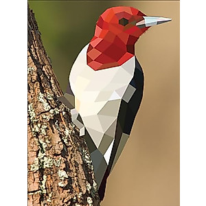 Paint by Sticker: Birds: Create 12 Stunning Images One Sticker at a Time!