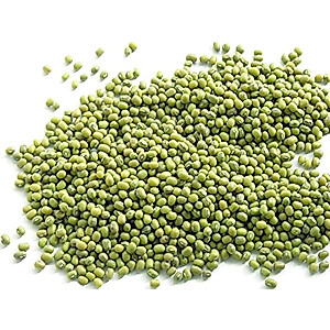 Todd’s Seeds - Mung Bean Sprouting Seed - Mung Bean Seeds - Chinese Green Bean - 1 Pound Bulk Seeds