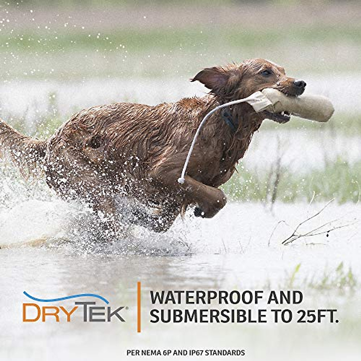 SportDOG Brand FieldTrainer 425X/SportHunter 825 Add-A-Dog Collar-Additional, Replacement or Extra Collar for Your Remote Trainer-Waterproof and Rechargeable with Tone, Vibration and Static