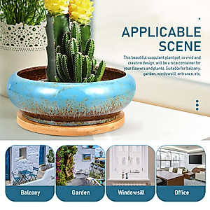 ERINGOGO 7 inches Succulent Pots, Ceramic Flower Planter Pot with Drainage and Tray, Round Shallow Bonsai Bowl Drip Planter for Small Indoor Plants