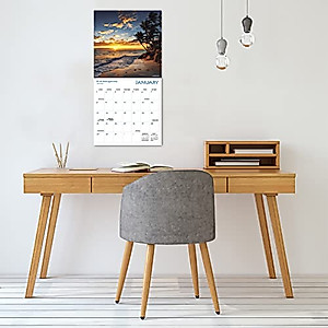 Islands in the Sun 2023 16-Month