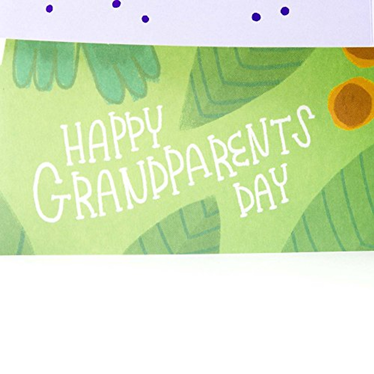 Hallmark Grandparents Day Greeting Card from Grandchildren or Kid (Pop Up Banner for Best Grandparent)