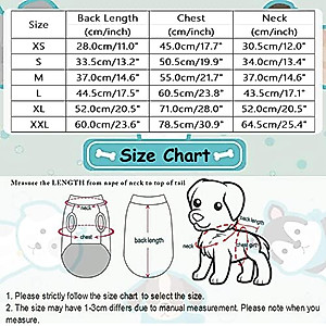 Wizland Dog Raincoat Dog Rain Jacket with Hood Lightweight Waterproof Jacket X-Small to XX-Large Dogs and Puppies(Blushing,L)