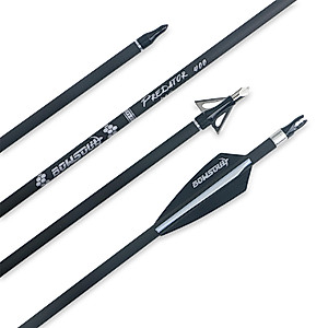BOWSOUL 30inch Hunting Carbon Archery Arrows with 2.75” High Hardness Vanes Spine 400 for Compound Bow and Recurve Bow (Black White&Broadheads)