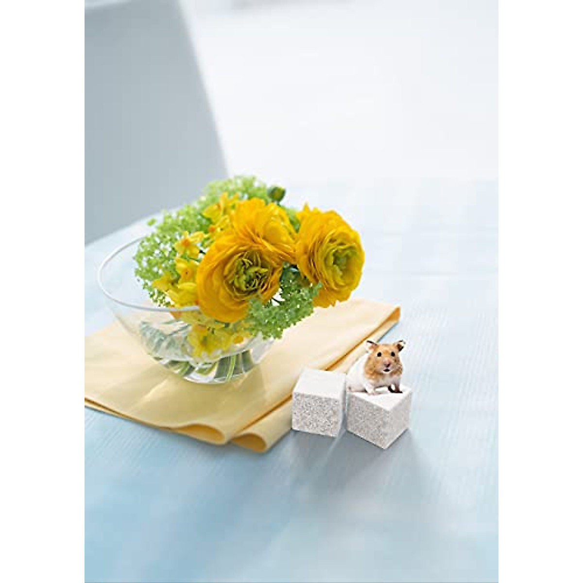 WANBAO 1.6 Inch Hamster Molar Lava Block, Small Animal Teeth Grinding Lava Block, for Rabbits, Parrots Etc 12 Pcs