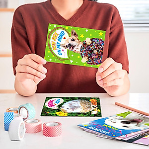 Funny Animal Postcards 58 Pack Unique Greeting Cards Thinking of You Missing You Note Cards 4x6 Postcards Gifts for Kids, Students, Friends, Teacher Adorable Kid Postcards