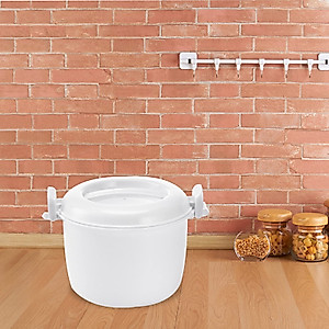 BESTOYARD Microwave Rice Cooker Mini Rice Cooker Portable Steamer Pasta Cooker Food Steamer Pot for Cooking Soup Rice Chicken S