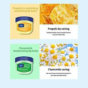 Fruit Flavored Lip Balm Set, Anti Chapping Lip Mmoisturizers, Mini Chapstick, Relieves Dull and Dry Skin, Long Lasting Lip Care Products