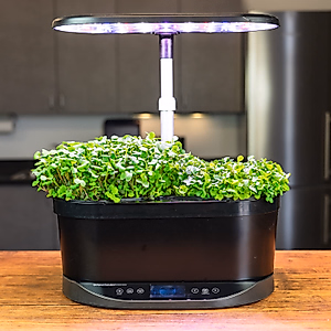AeroGarden MicroGreens Kit for Bounty Gardens - Includes Seeds, Tray, and AeroFelt