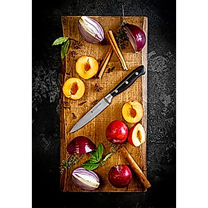 MasterClass All Purpose Small Kitchen Knife with EdgeKeeper Knife Sharpener Sheath, Stainless Steel, 11 cm