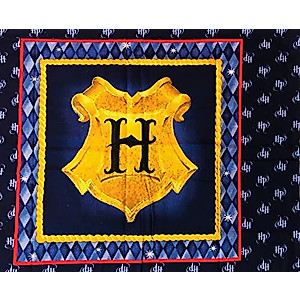 Wizarding Cotton Fabric Quilt or Pillow Panel - 2 Large Blocks (Great for Quilting, Sewing, Craft Projects, Wall Hangings, Throw Pillows and More) 18" X 44"