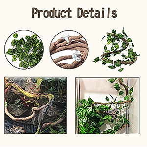 PINVNBY Crested Gecko Coco Hut with Ladder Natural Lizard Coconut Shell Hideout Home Mini Condo for Reptiles Durable Cave Habitat with Hanging Loop Coconut Texture Provide Food for Pets