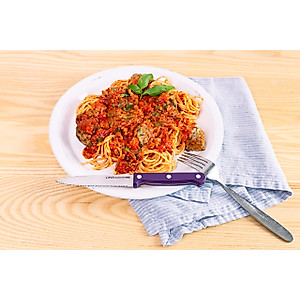 Ginsu Kiso 14-Piece Purple Knife Set with Black Block - Dishwasher Safe and Always Sharp