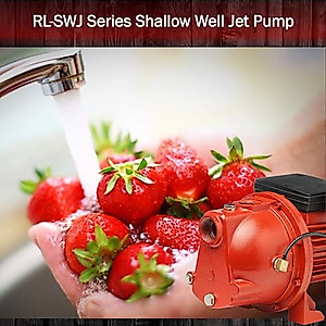 Red Lion RL-SWJ100 1 HP, 17 GPM Dual Voltage (115/230 Volts) Cast Iron Shallow Well Jet Pump, Red, 97081001