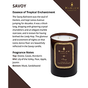 Harlem Candle Company Savoy Luxury Candle, 12 oz Brown Glass Jar, Double Wick, Soy Wax, Gift Box, Ozone, Blackcurrant, Mandarin, Green Apple and Lily of The Valley