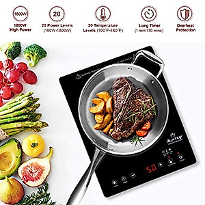 Duxtop Portable Induction Cooktop, High End Full Glass Induction Burner with Sensor Touch, 1800W Countertop Burner with Stainless Steel Housing, E200A, Black