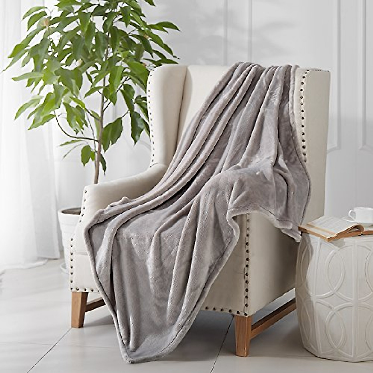 Reafort Ultra Soft Flannel Fleece All Season Light Weight Living Room/Bedroom Warm Blanket (Silver Grey, Throw 50"X60")