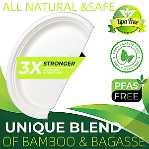 BIRCHIO 100PCS 100% Compostable White Oval Paper Plates(12in), Heavy Duty Disposable Plates, Eco-Friendly Dinner Plates, Biodegradable Salad, Meal, Dessert Plates, Perfect for Parties, Picnic, BBQ