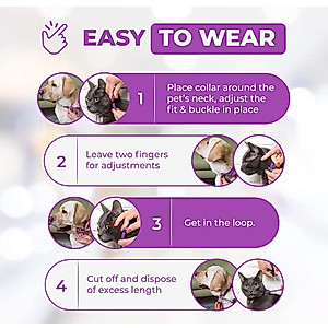 Calming Collars for Dog, 4 Packs, Dog Pheromone Calm Collars Help Dogs Calm Down, Stress Separation Suitable Dogs Last 60 Days Relieve per Box Collar Size 24.5 inch Color Gray