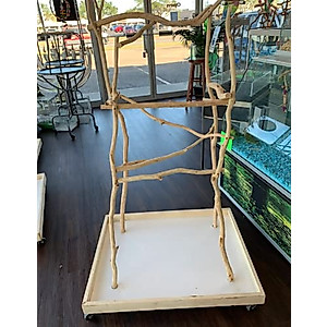 ExoticDad XS Parrot Stand - Customize Your Perch Designed Natural Dragonwood Bird Perch on Wheels Stand for Parrot, Cockatoo, Macaw, Conure, Birds, Cockatiel, African Grey - (24×36 Ft - B - 4 Ft H)