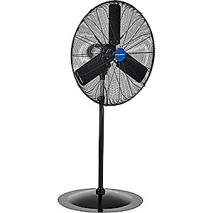 Global Industrial Outdoor Oscillating Pedestal Fan, 30" Diameter, 3/10HP, 8400CFM