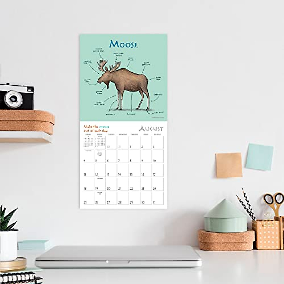 Be Your Best You 2024 Mini Calendar: Celebrate What Makes Ewe Unique — Illustrations by Sophie Corrigan, 7" x 7"
