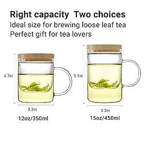 emoi Glass Tea Cup with Infuser and Lid, 12oz/350ml Tea Mug with Tea Steeper and Bamboo lid, Easy to use, Ideal for Tea Lovers to Make a Great Cup of Tea at Home or Office