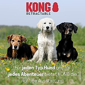 Alcott Kong Ultimate Retractable Dog Leash, Extra Large, Grey, 16' Long