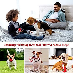 POPETPOP Christmas Dog Toys 3 Pcs, Dog Teeth Cleaning Rope Toy, Durable Dog Chew Ball and Santa Squeaky Plush Dog Toy for Small Dogs and Puppy - Xmas Dog Toy
