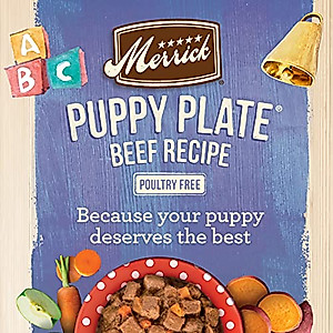 Merrick Grain Free Wet Puppy Food Puppy Plate Beef Recipe - 12.7 Ounce (Pack of 12)