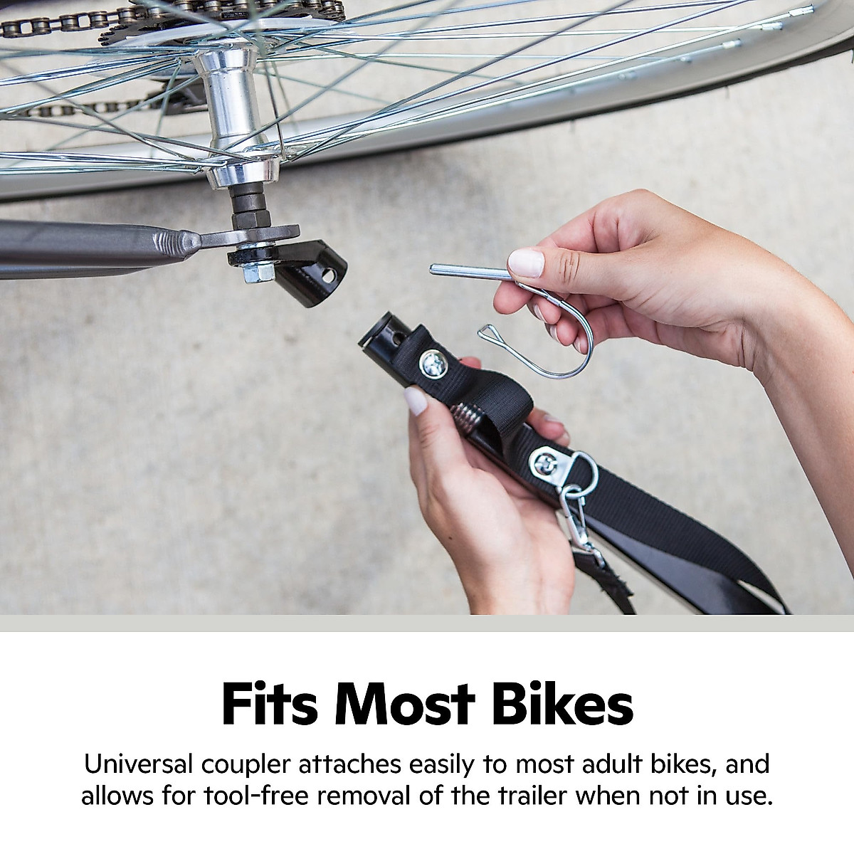 Schwinn 13-SC315 Rascal Bike Pet Trailer, For Small and Large Dogs, Lightweight, Tow with Bicycle, Up to 50 lbs. Small, Orange/Grey